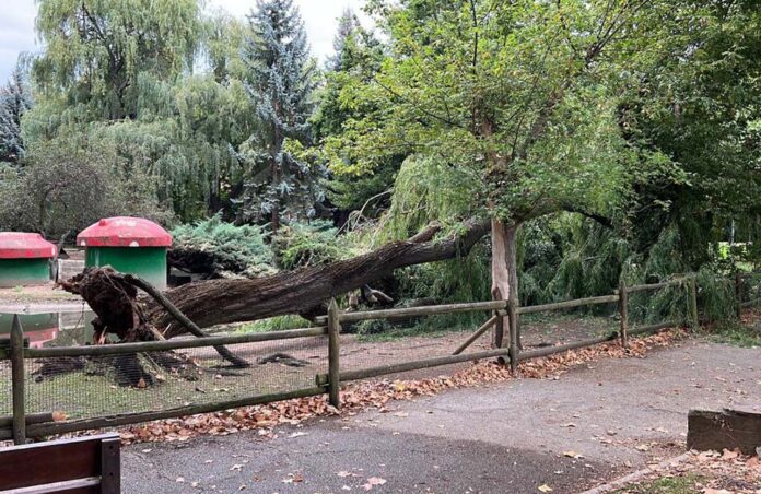 El festival ‘SONDA in the park’ llega al parque de Quevedo | Ahora León